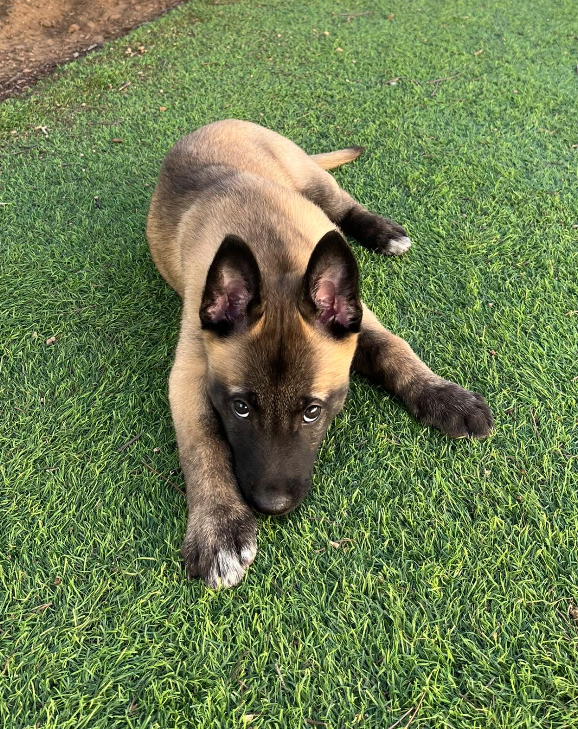 Smith – Sunny Day Acres