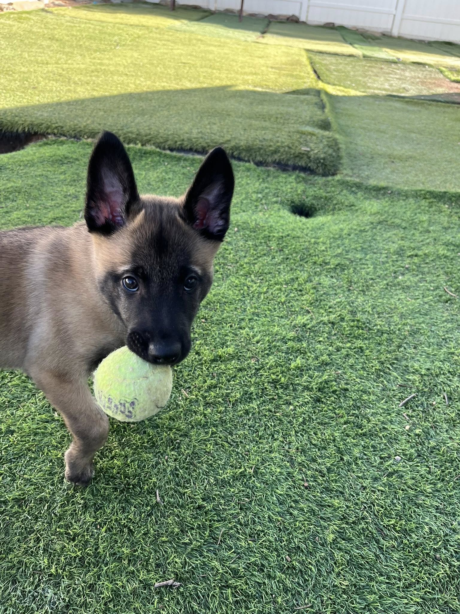 Smith – Sunny Day Acres